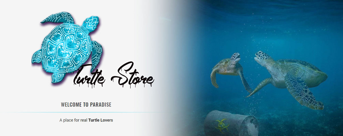 Turtle Shop 🐢 Because some reptiles are so cute! | Dragon Vibe